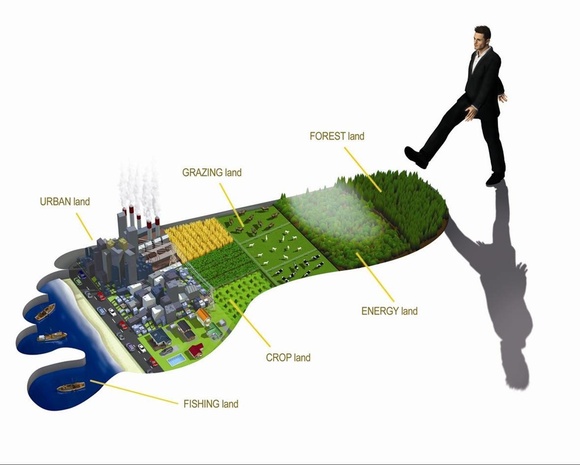 #97 - Global Footprint Network | The Global Journal